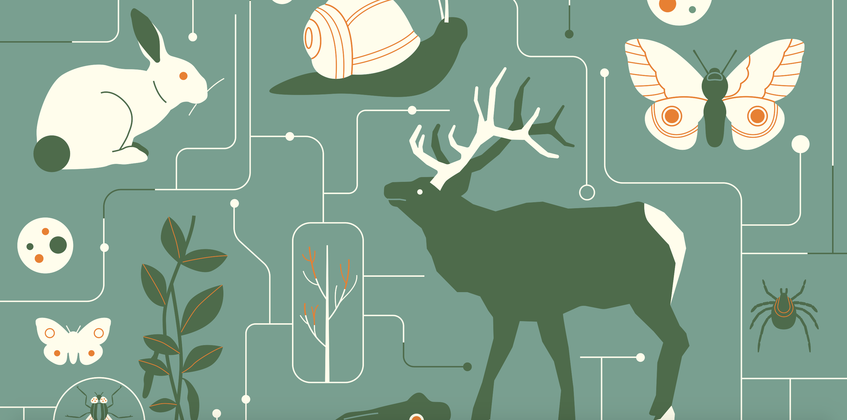 Planning to adapt | 80,000 Hours