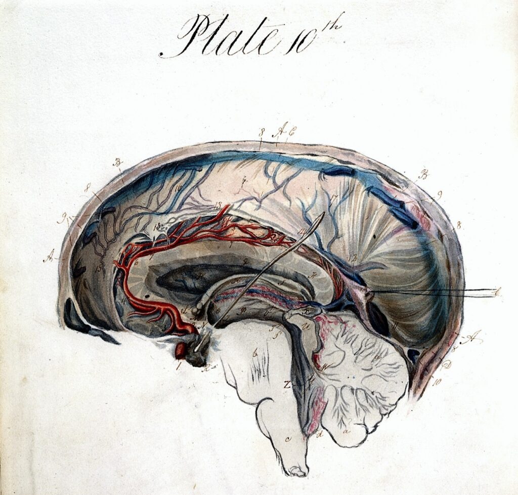 Moral status of digital minds | 80,000 Hours