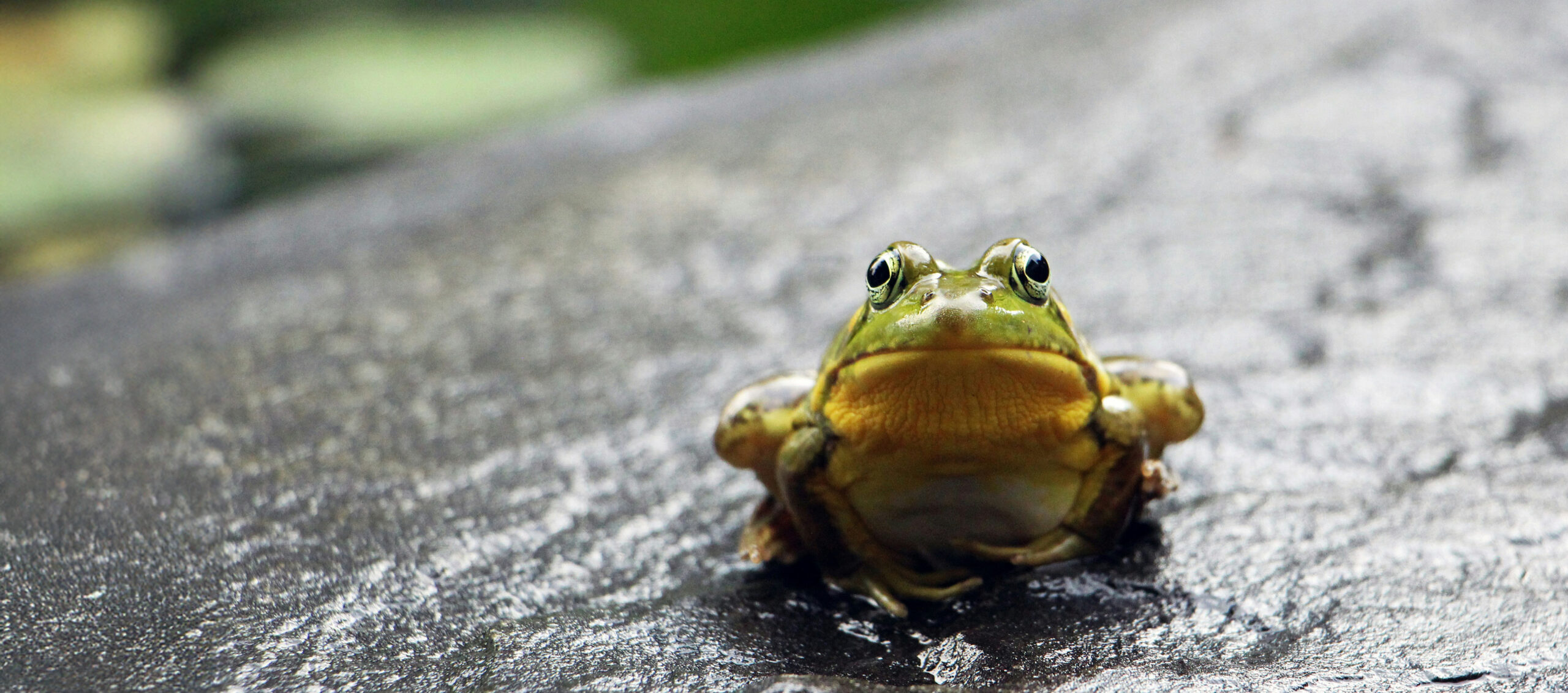 Cameron Meyer Shorb on dismantling the myth that we can’t do anything ...